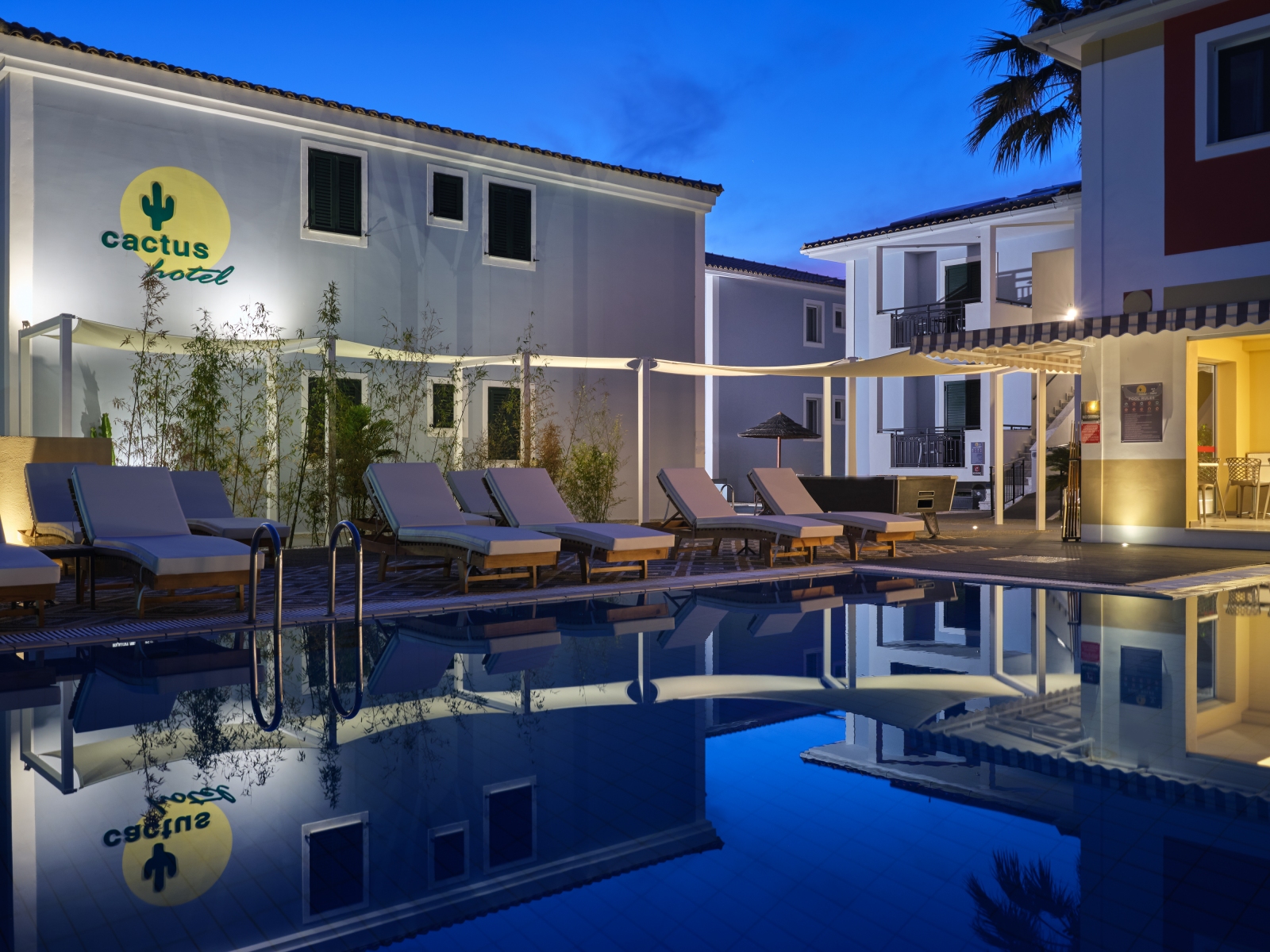 Gallery - Cactus Hotel